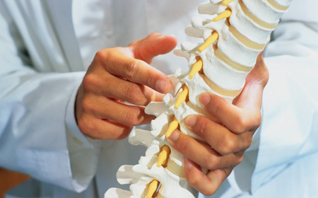 Deutsche Arthrose-Hilfe e.V. | Was ist Arthrose?